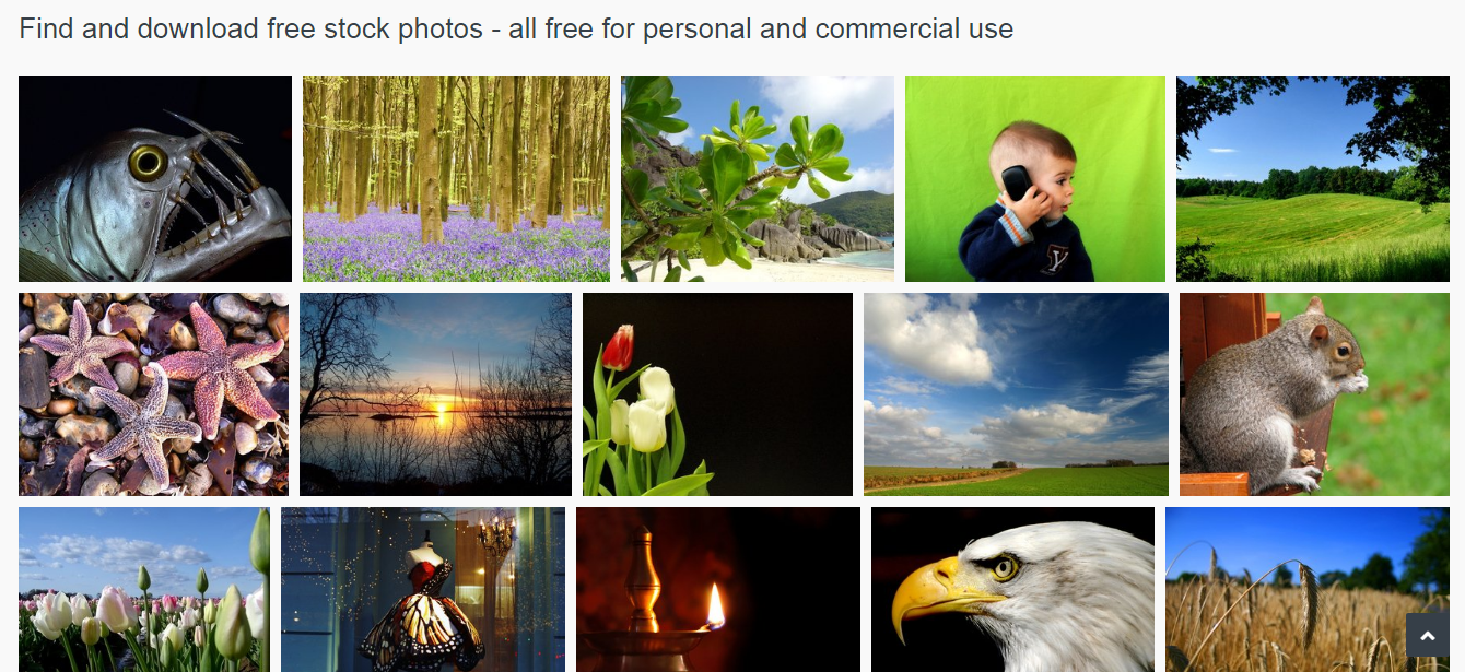Freeimages: Best Free Stock photos for commercial use